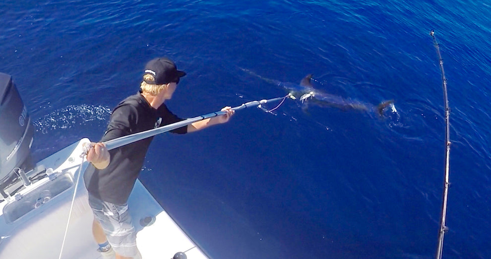 STANZ swordfish harpoon